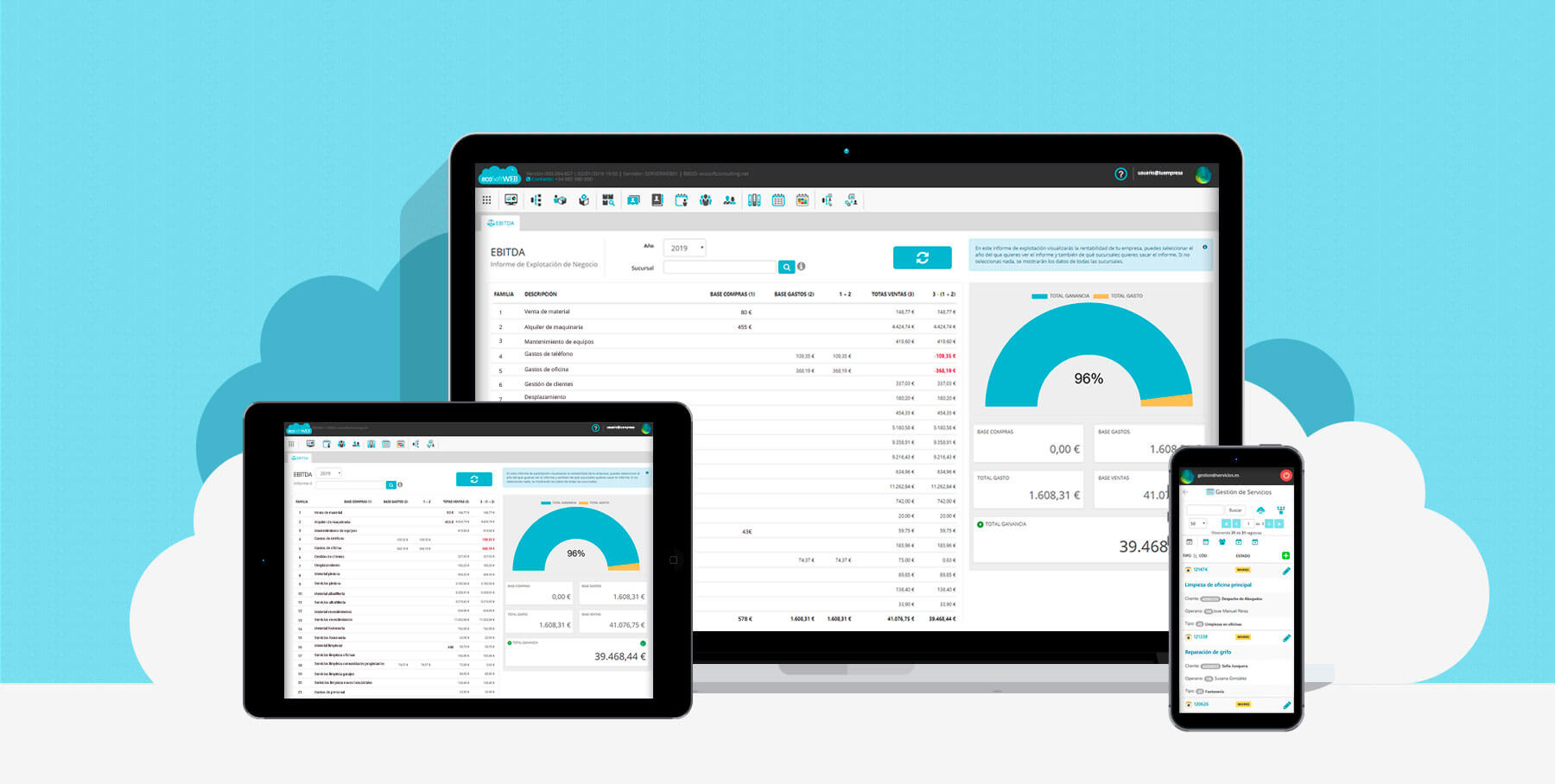 Que es ecoSoftWEB y como lo contrato - ecoSoft Consulting