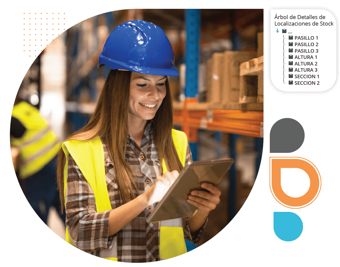 Funcionalidades del Software ecoSoft - ecoSoft Consulting